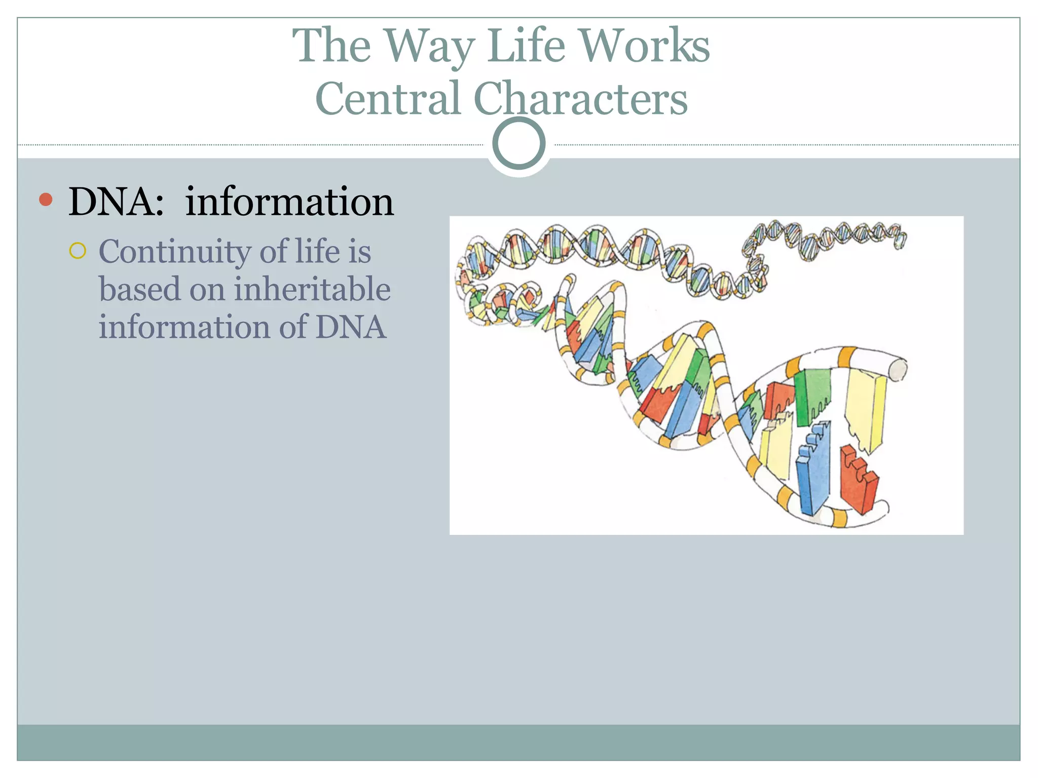 Unity & Diversity Of Life | PPT