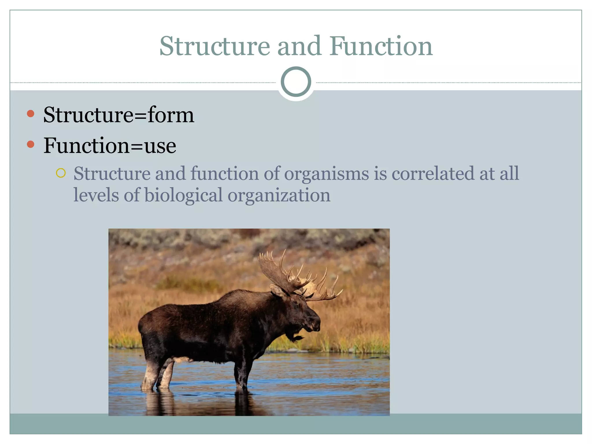 Unity & Diversity Of Life | PPT