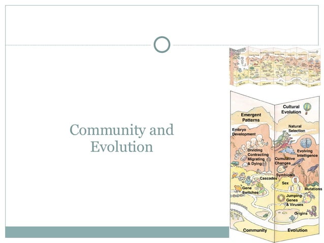 Unity & Diversity Of Life | PPT