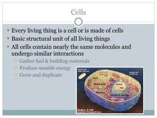 Unity & Diversity Of Life | PPT