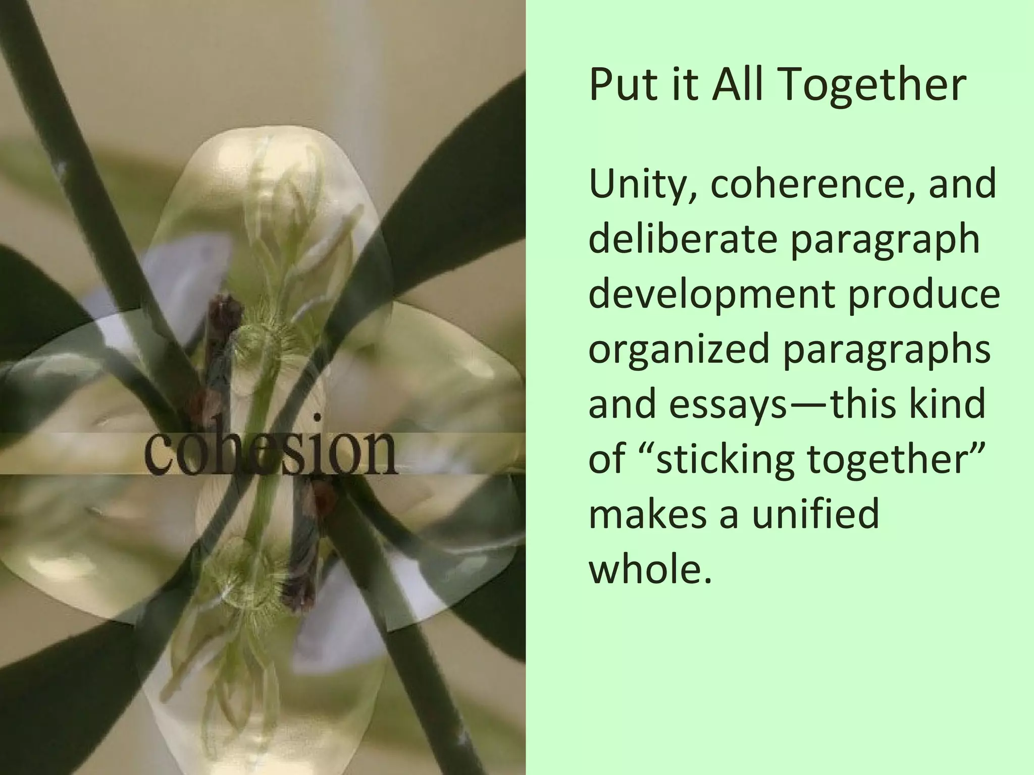 Unity, coherence, development 1 | PPT