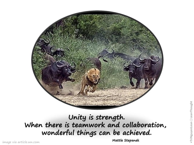 _*Unity is strength*_ | PPT