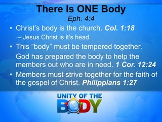 Unity Of The Body | PPT