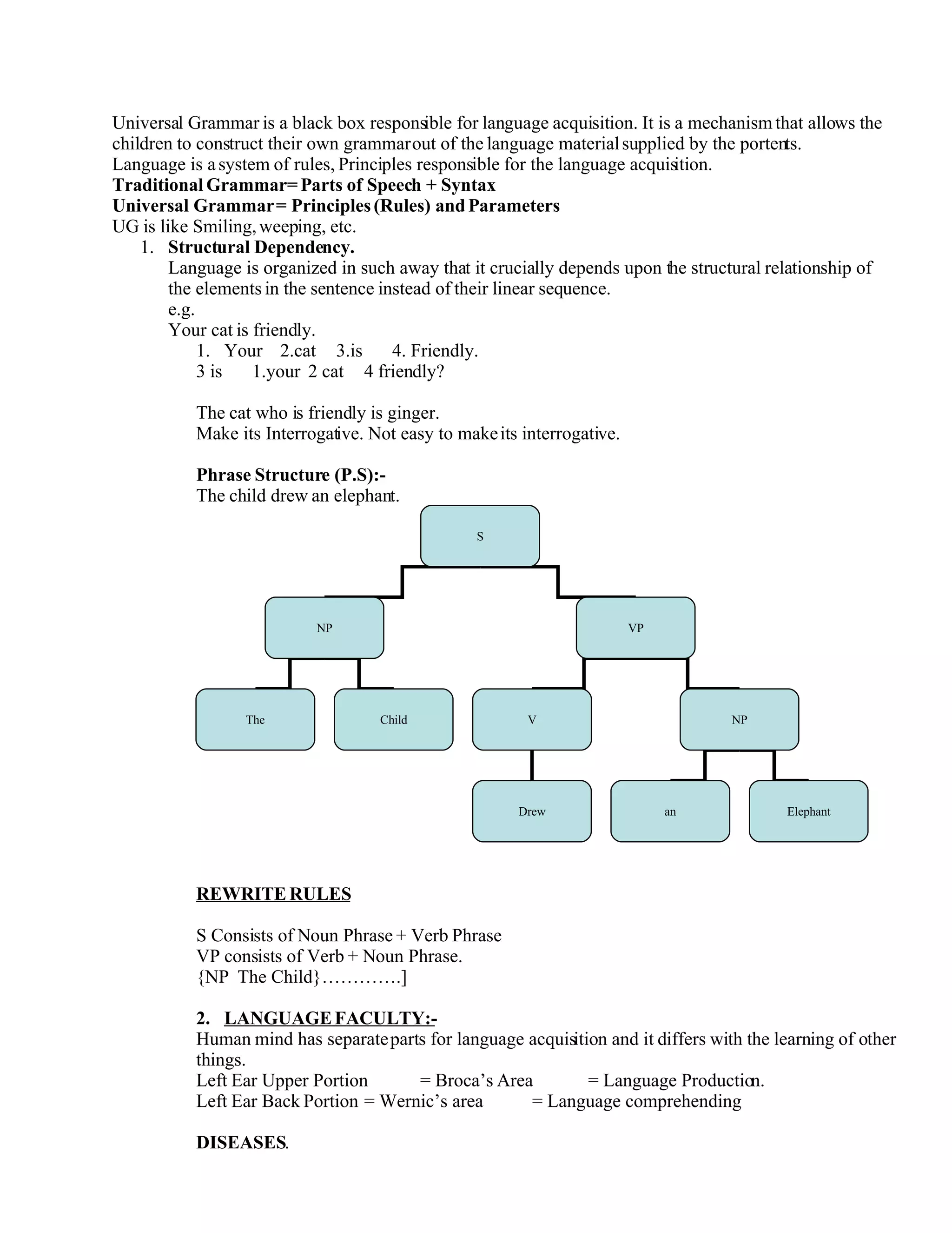 Universal Grammar | DOC