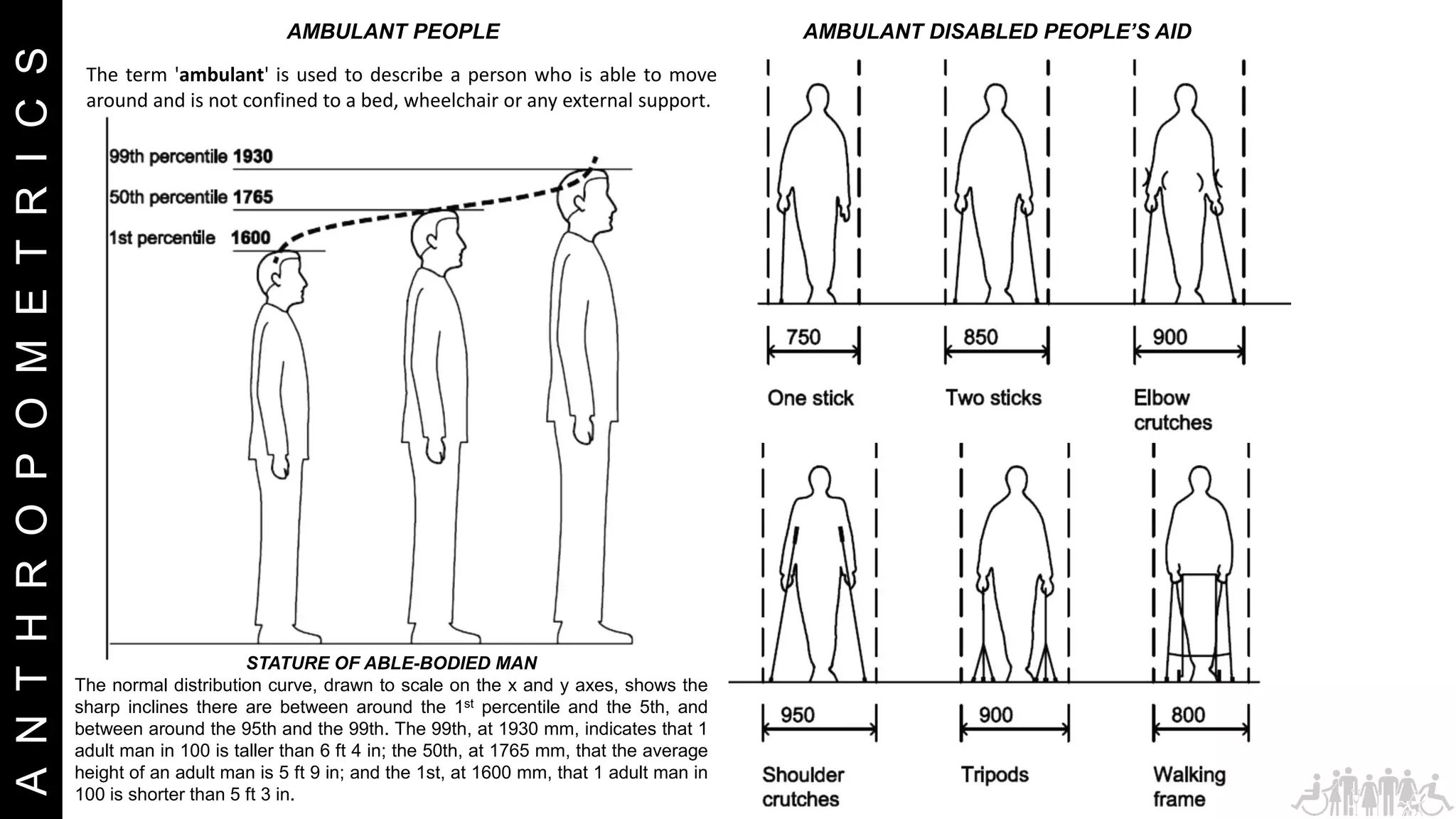 UNIVERSAL DESIGN - Anthropometrics | PDF