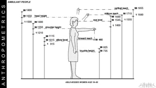 UNIVERSAL DESIGN - Anthropometrics | PDF