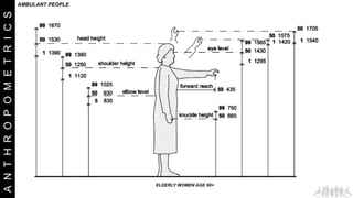 UNIVERSAL DESIGN - Anthropometrics | PDF