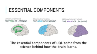 Universal design for learning | PPTX