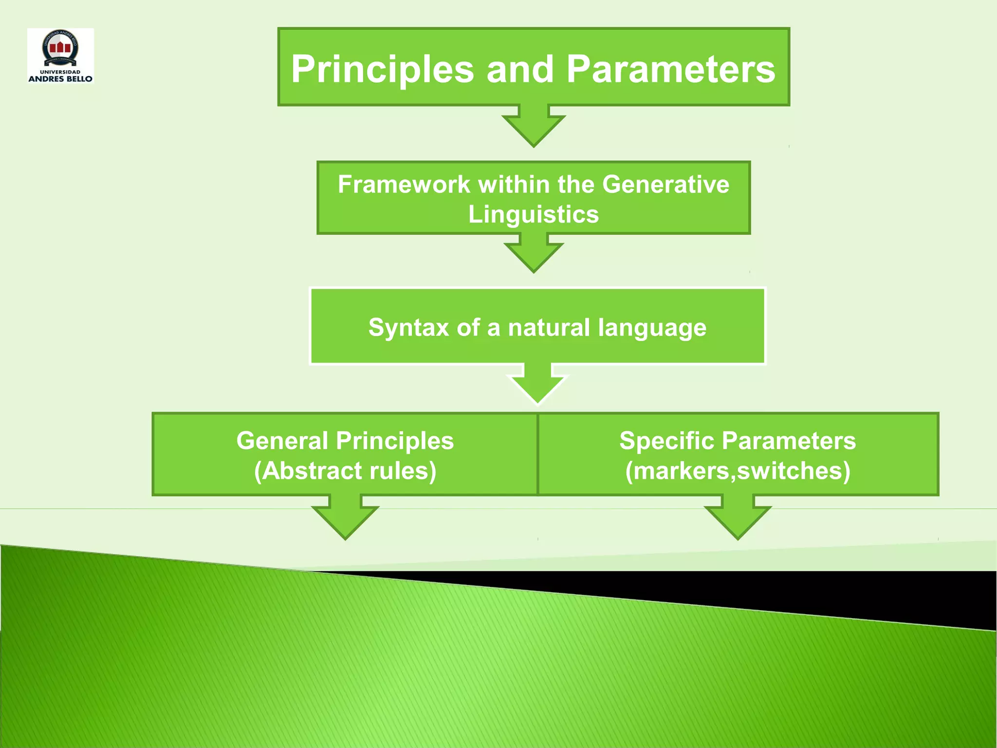 Universal grammar | PPT
