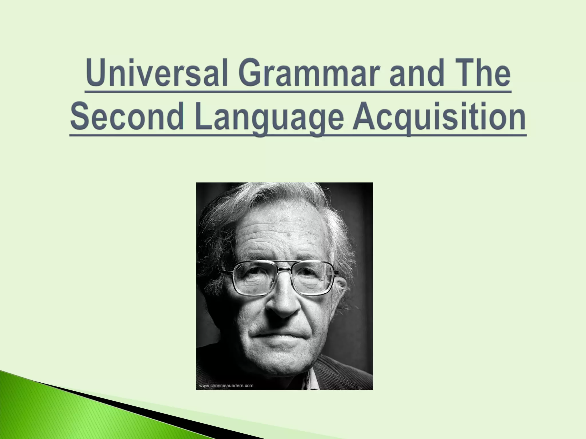 Universal grammar | PPT