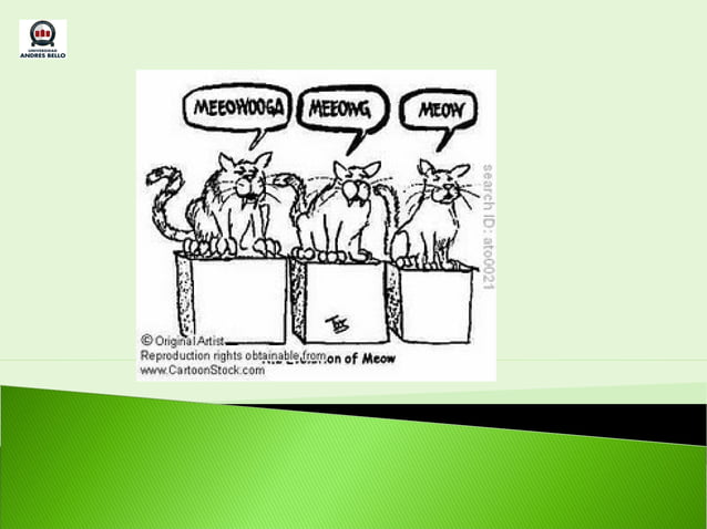 Universal grammar | PPT