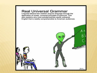 Universal grammar med | PPT
