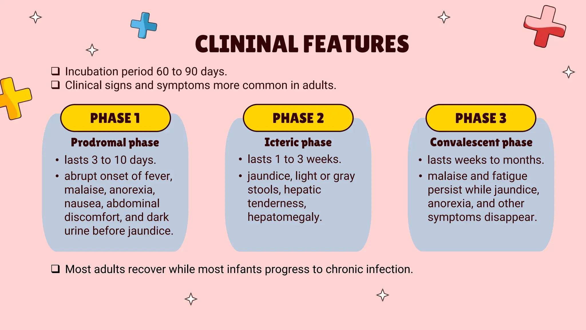 Hepatitis B Virus Life Cycle Transmission Treatment And Prevent Ppt