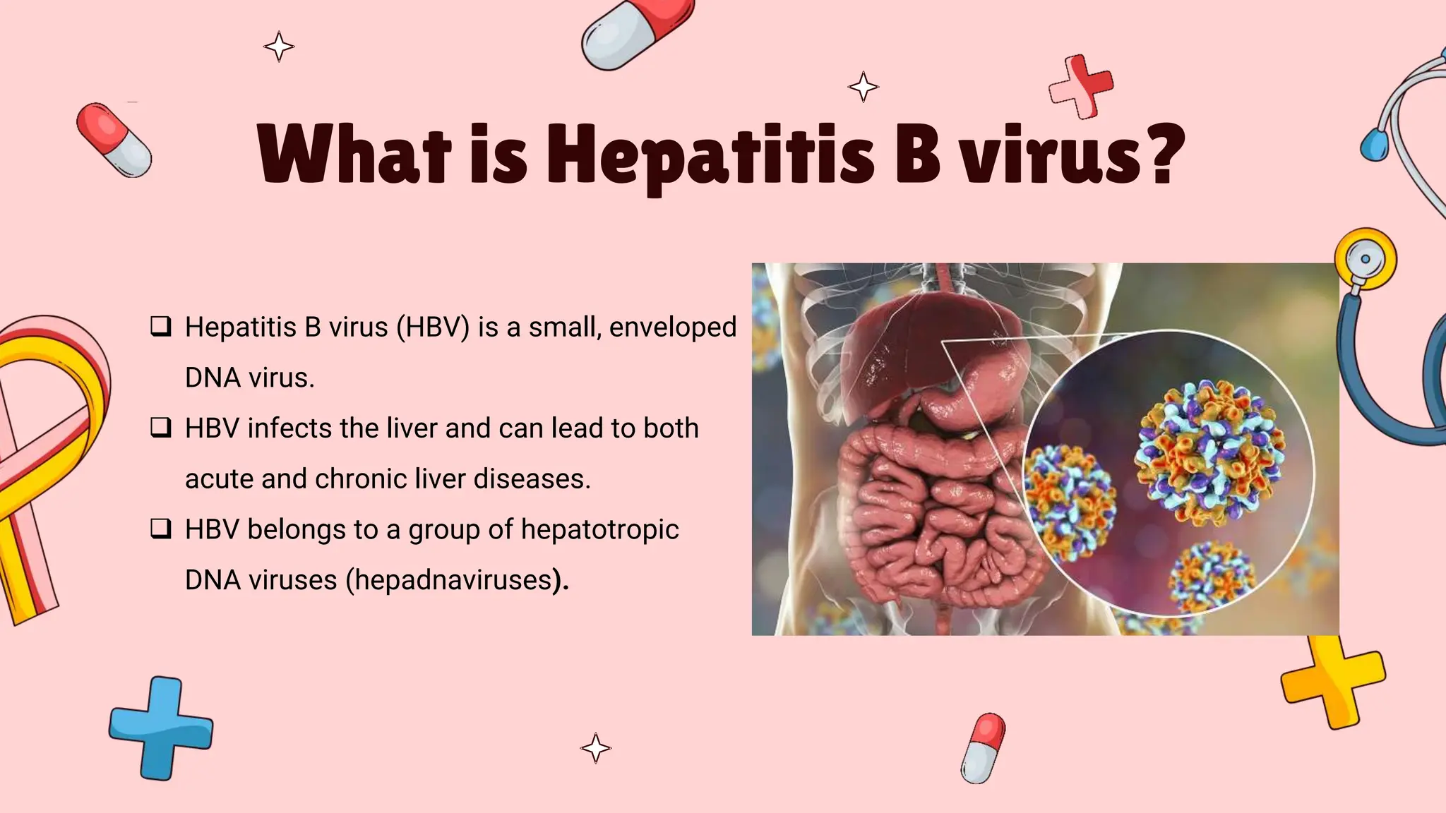 Hepatitis B virus: Life cycle, transmission, treatment and prevent | PPTX