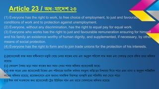 Universal Human Rights / সার্বজনীন মানাধীকার | PPT