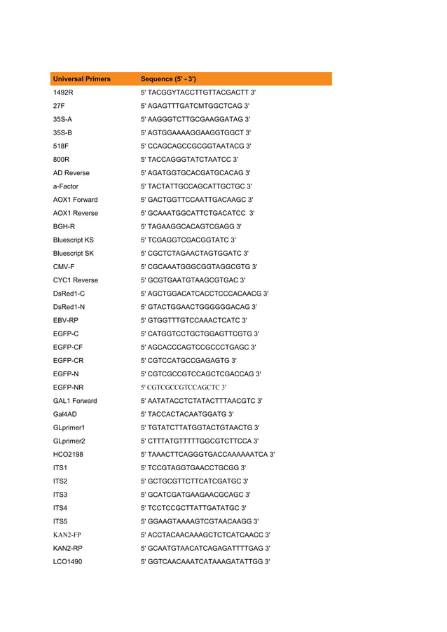 Universal primers | DOCX | Genetics | Science