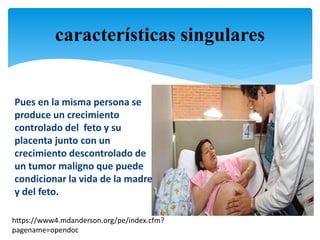 CANCER Y EMBARAZO KARINA PALACIOS | PPTX
