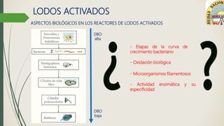 Universidad nacional-de-huancavelica-3-lodos-activados (1) | PPTX