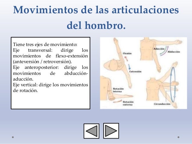 Analisis De Movimiento Flexion De Hombro