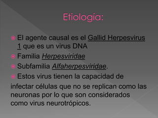 Laringotraqueitis aviar | PPTX