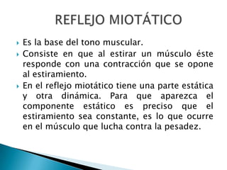 Tono Muscular Universidad central del ecuador | PPTX