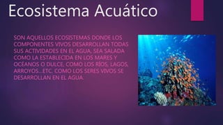 Universidad central del ecuador | PPT