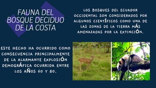 Bosques Deciduos de la Costa | PDF