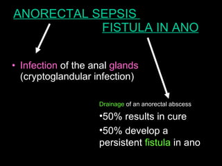 Rectum and anus diseases | PPT