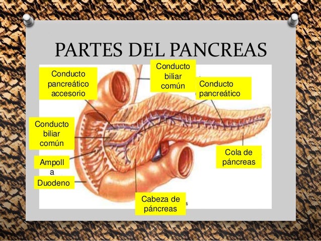 Universidad de guayaquil facultad de ciencias medicas