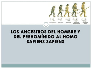 EVOLUCIÓN DEL HOMINIDO AL ACTUAL | PPTX