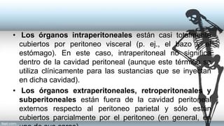 Universidad regional autónoma de las andes | PPTX
