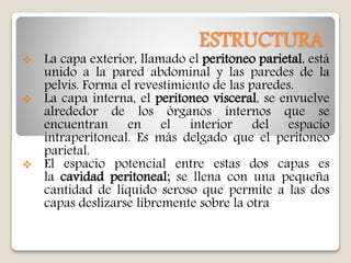 PERITONEO Y DISTRIBUCION TOPOGRAFICA DEL ABDOMEN | PPTX