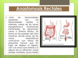 Universidad regional autónoma de los andes shunt | PDF