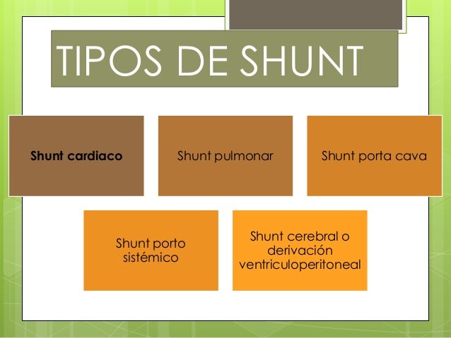 Universidad regional autónoma de los andes shunt