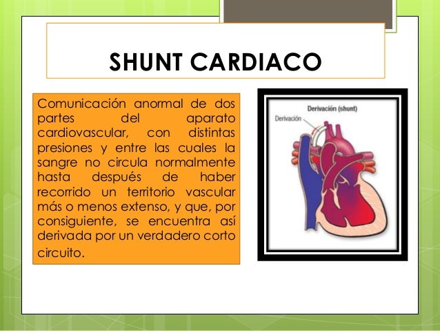 Universidad regional autónoma de los andes shunt