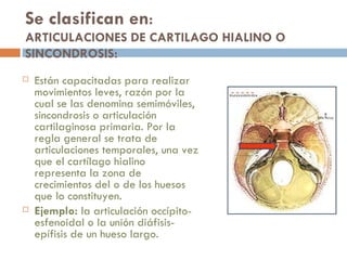 Universidad técnica de ambato | PPT