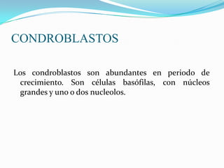 Universidad tecnica de ambato | PPTX