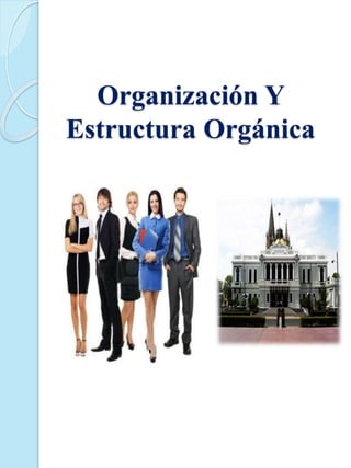 Organización Y Estructura Orgánica UDG. | PPTX