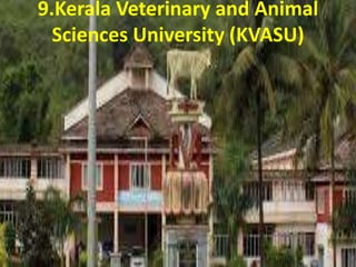 Universities in kerala commerceand humanities | PPT