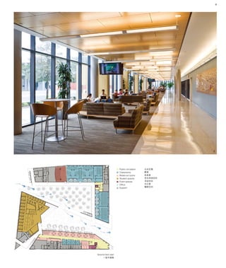 University architecture Design planning spaces | PDF