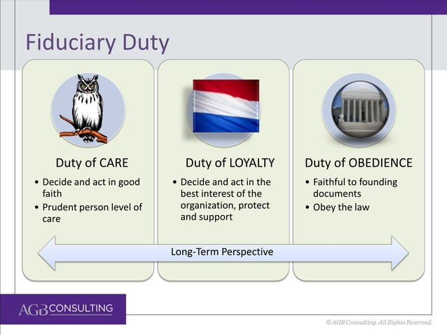 University governing board roles and responsibilities | PDF