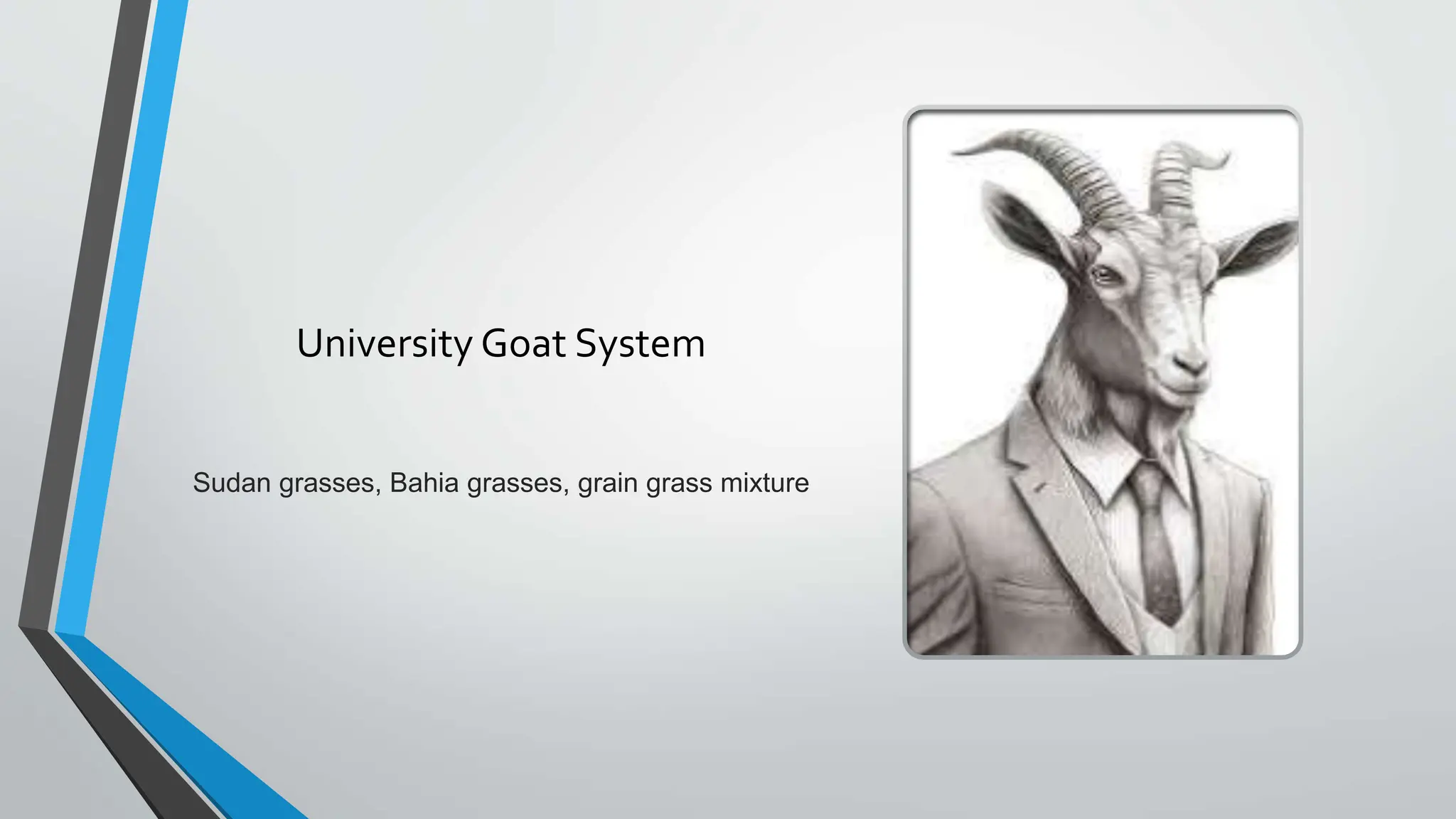 University Goat Management System[1].pptx
