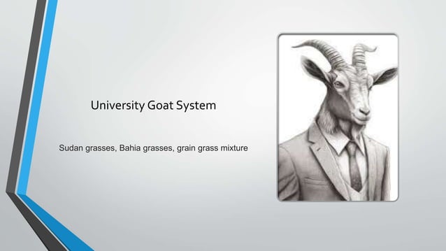 University Goat Management System[1].pptx