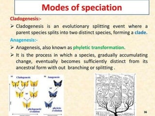 Insect speciation entomology presentation.pptx
