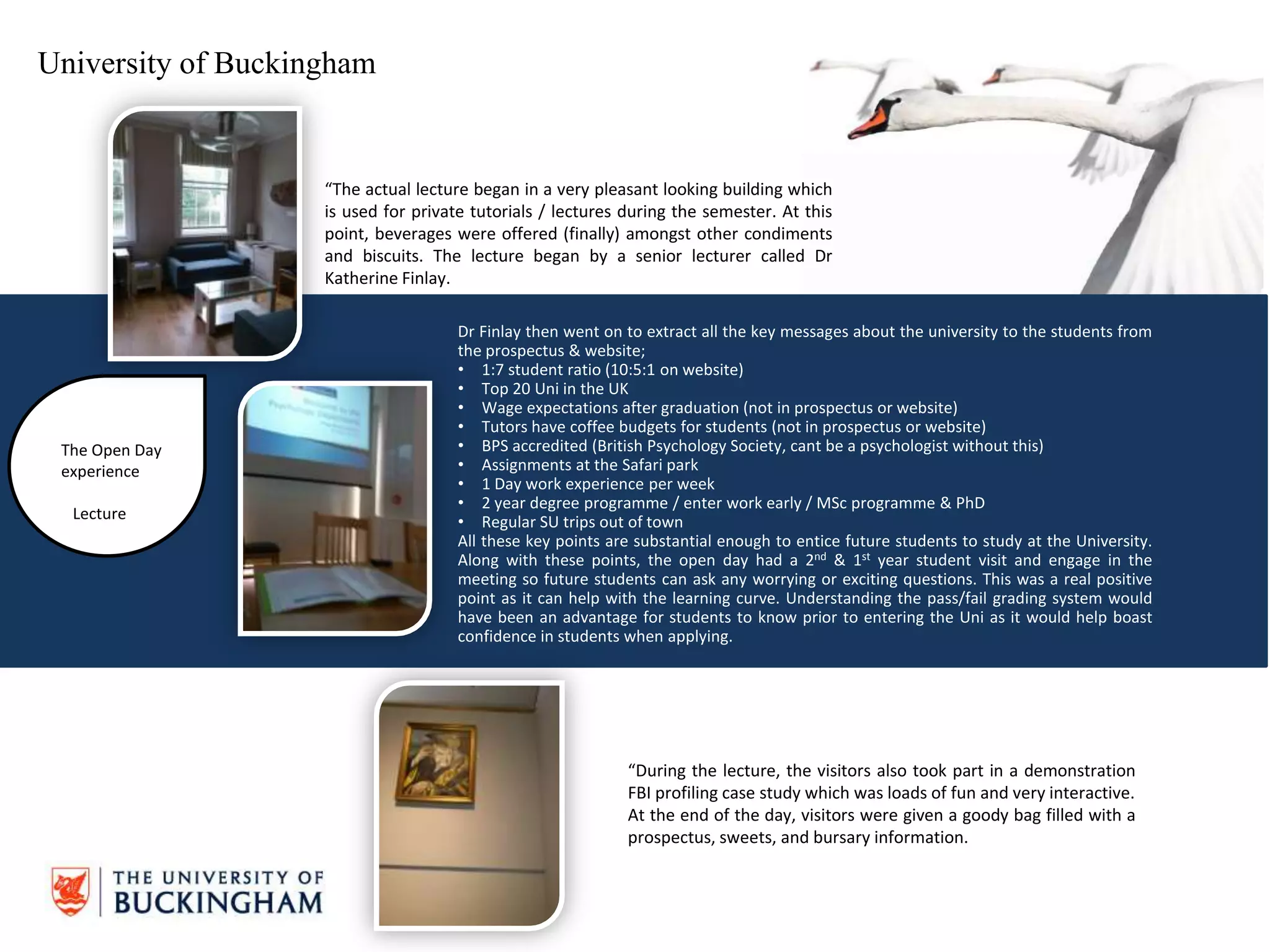 University of Buckingham | PPTX | Undergraduate Education | College ...
