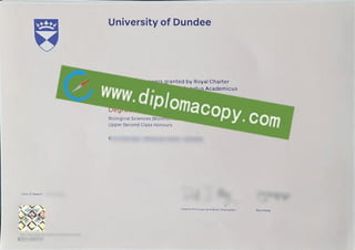 University of Dundee diploma.pdf