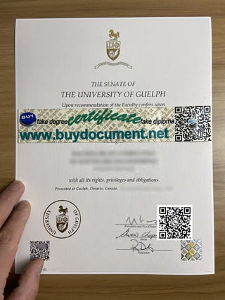 University of Guelph degree.pdf