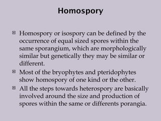 Chapter - Progymnosperm lecture 2nd year | PPTX