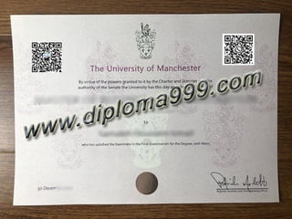 University of Manchester degree | PDF