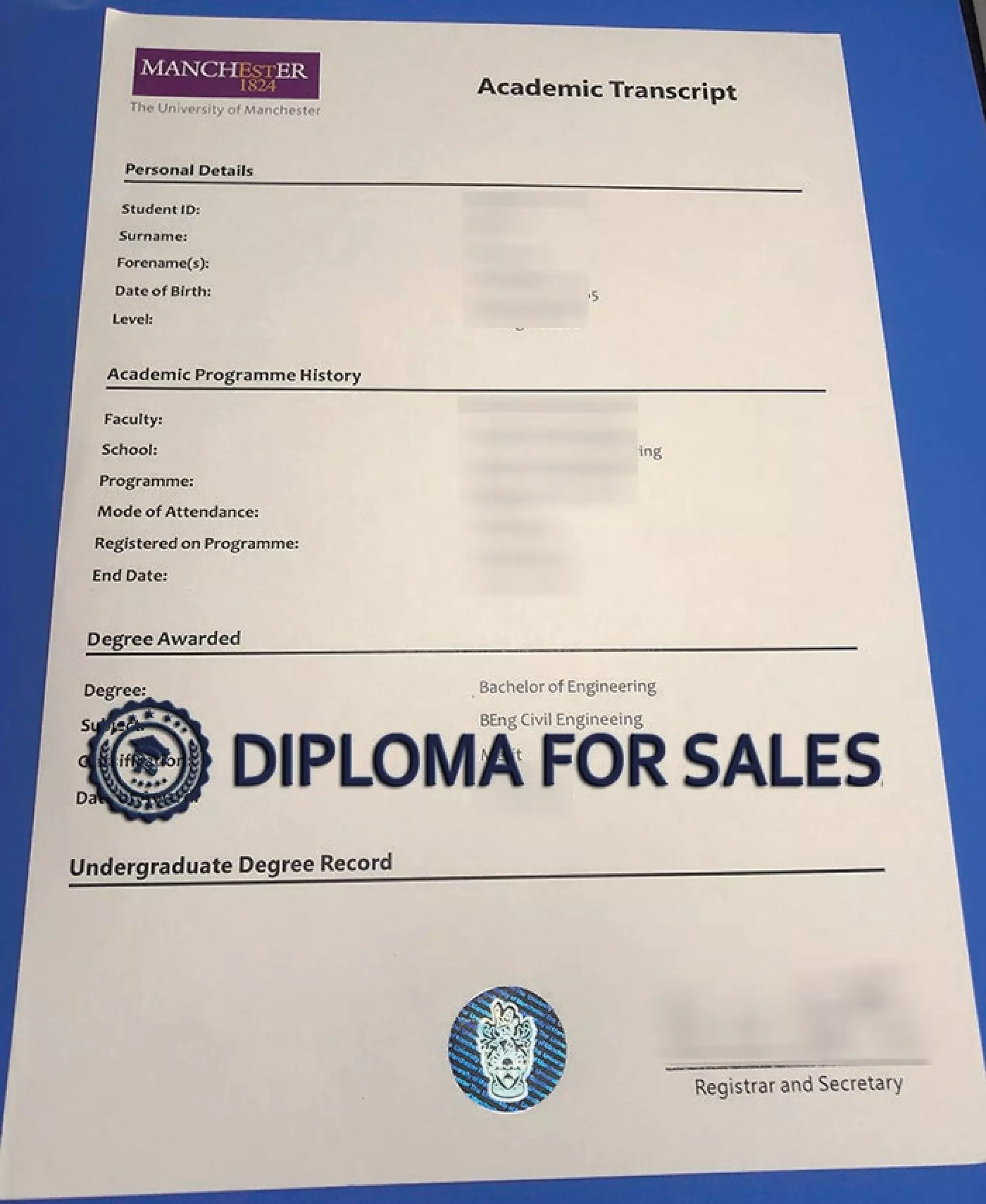 University of Manchester transcript31.pdf